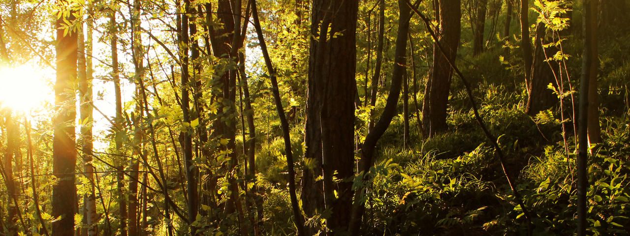 Generating Recurring Dates Array Using Rrule In Javascript